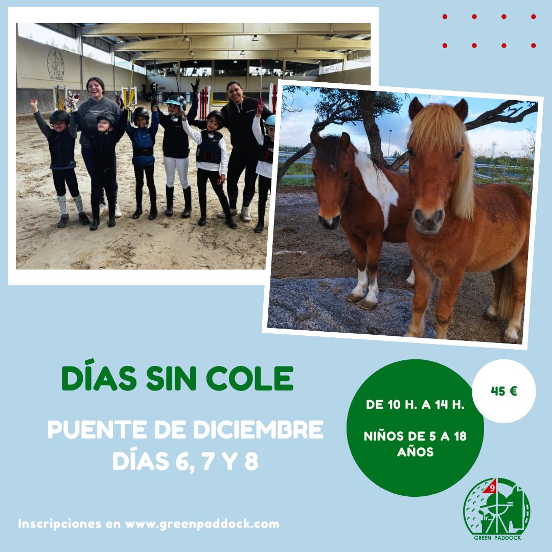 Día Sin Cole Green Paddock